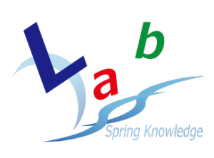 企業情報 – Spring Knowledge Lab Inc.