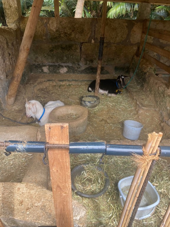 05 – Spring Knowledge Lab Inc.