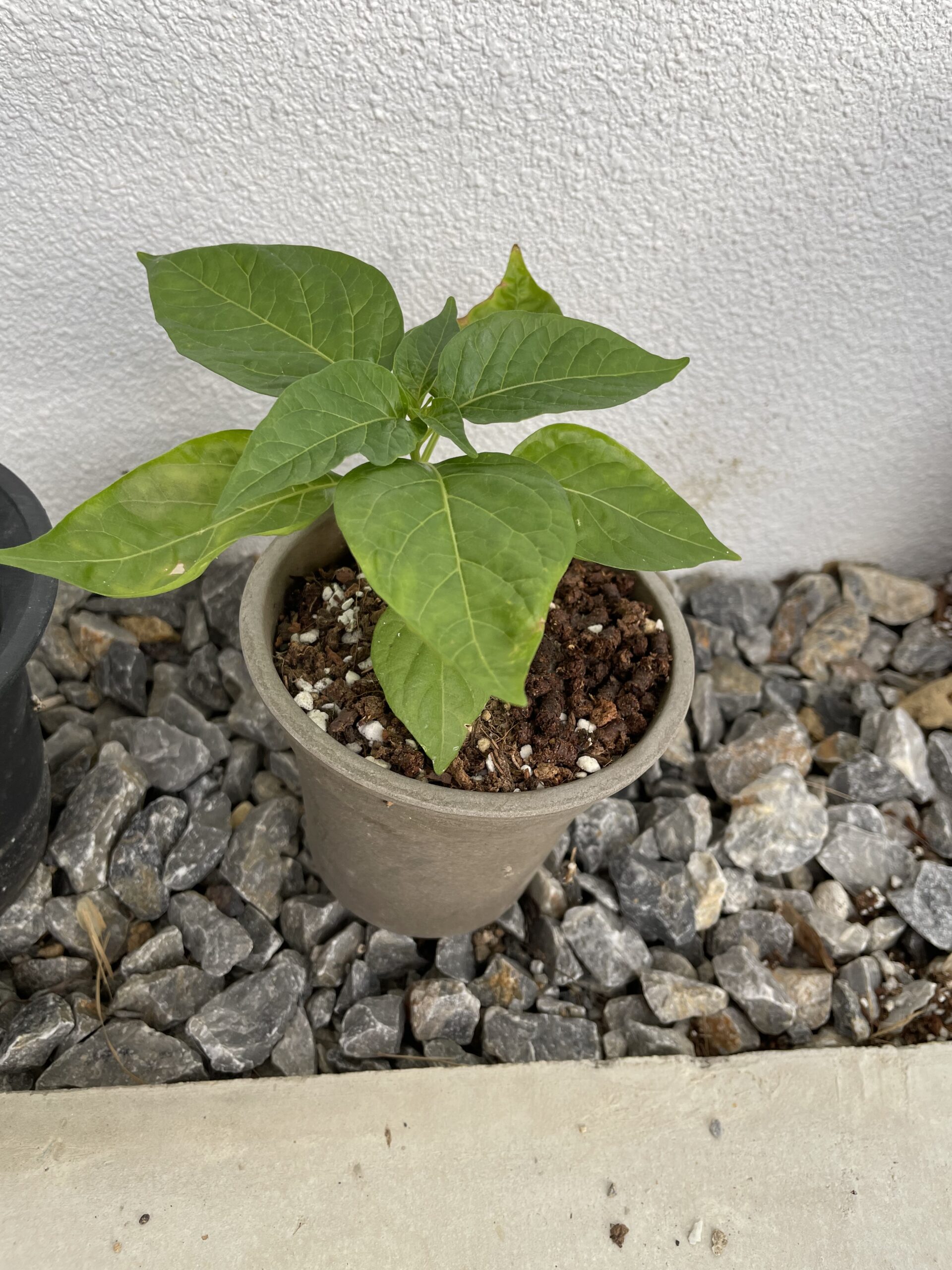 image_67197185 – Spring Knowledge Lab Inc.